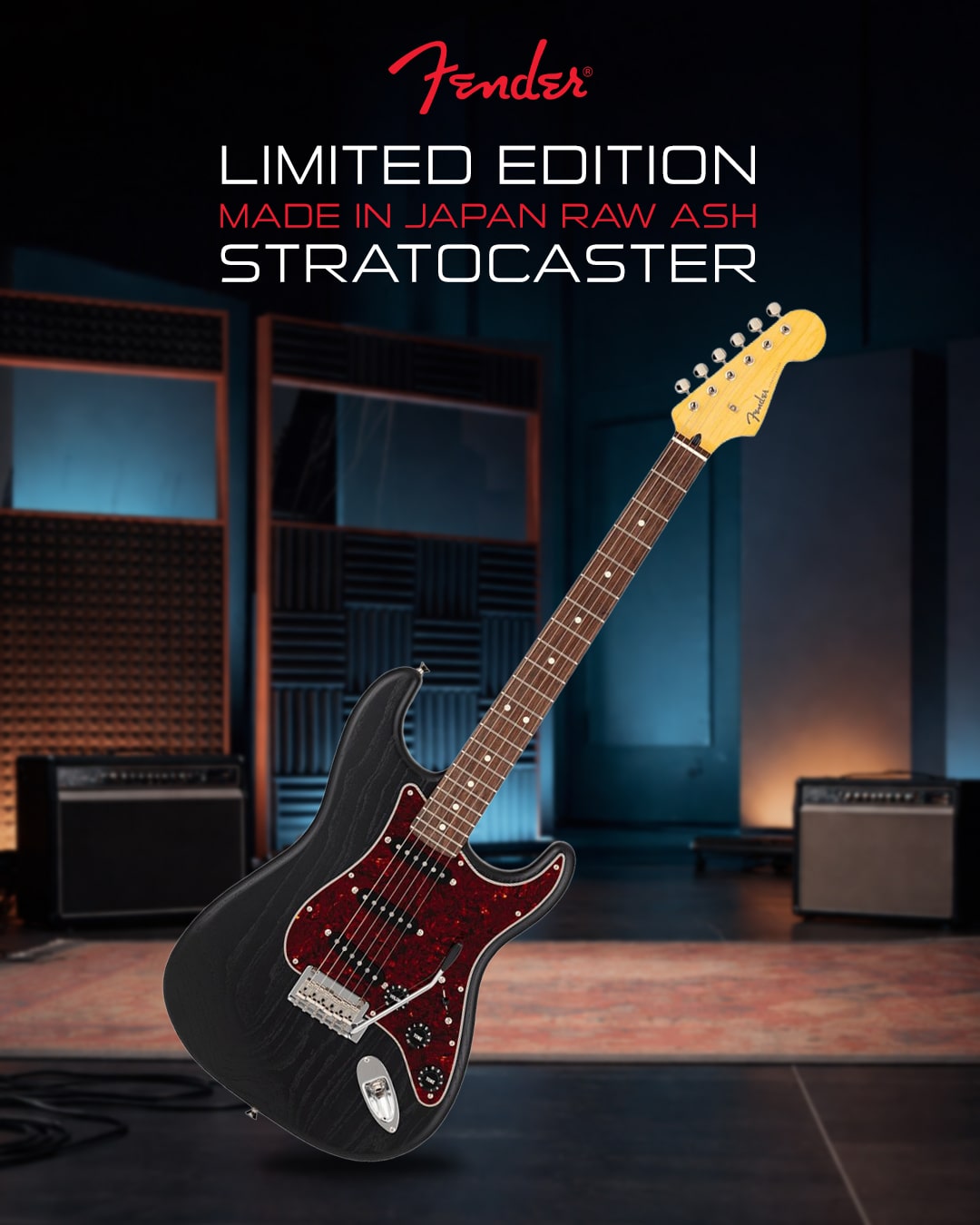 Fender Limited Edition Made in Japan Raw Ash Stratocaster - Paragon ...